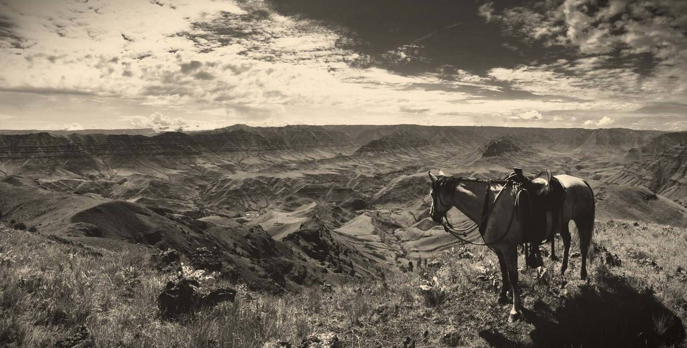 Jordan Manley looking over the Imnaha 3 - Oregon Trail Genealogy