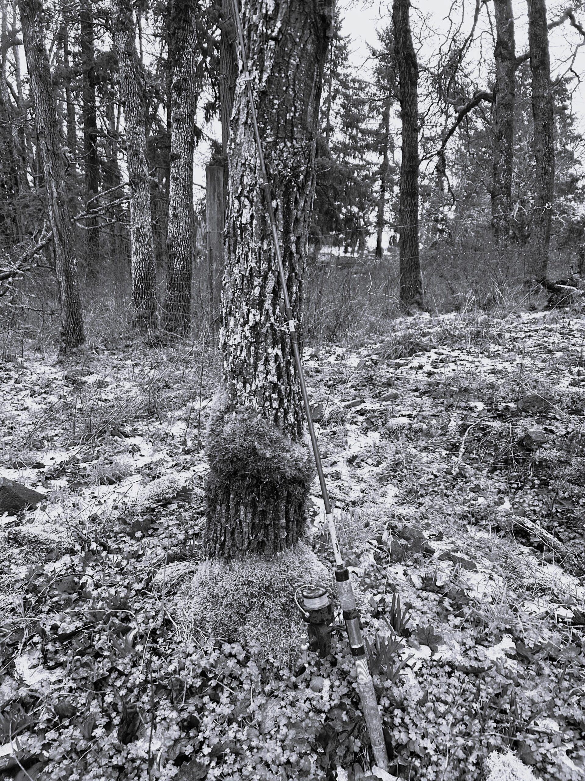 The Gathering of Our Family Stories - Oregon Trail Genealogy